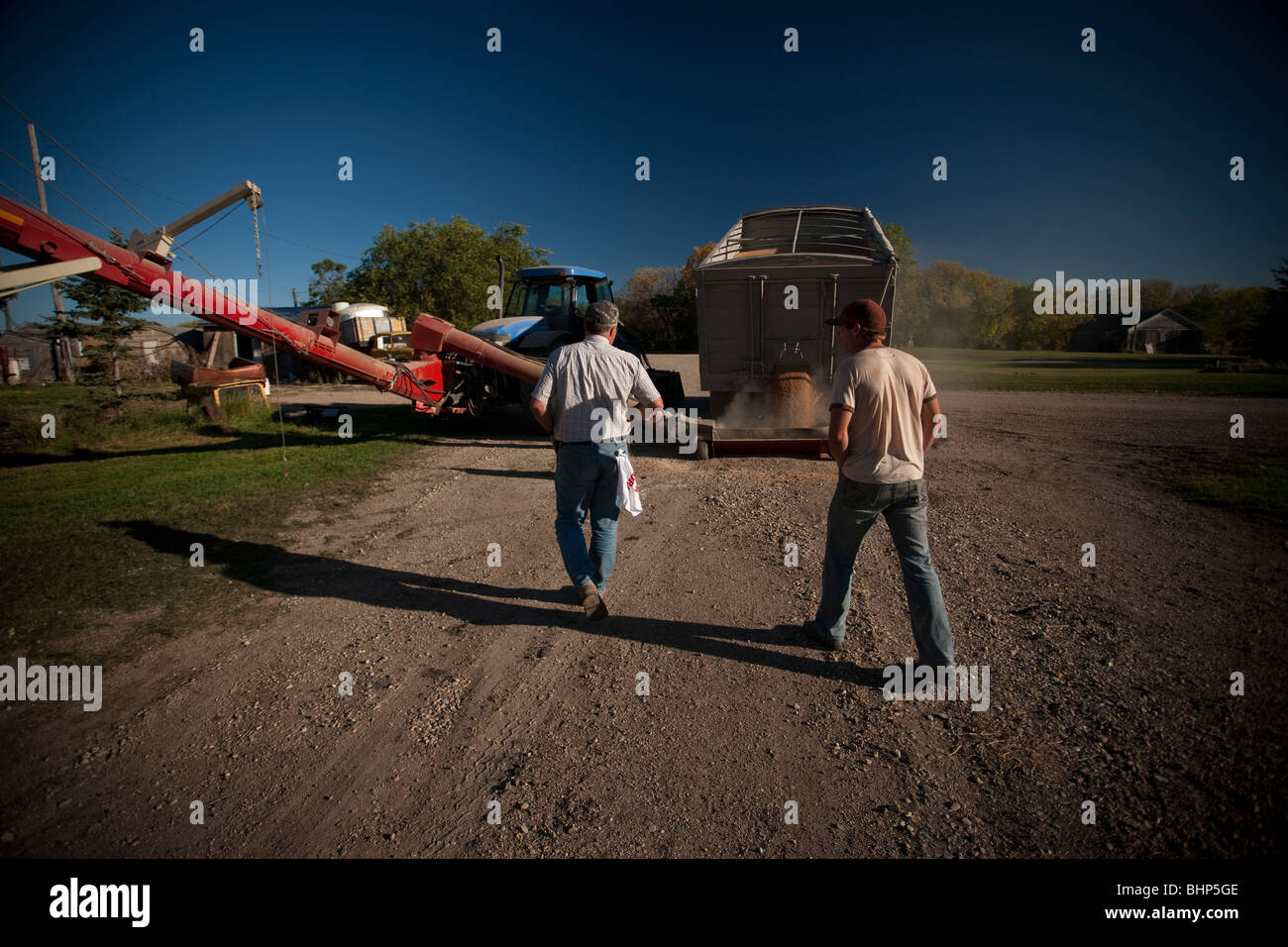 Two Farmers In Yeard, Unloading Grain Truck, Redvers, Saskatchewan, Canada Stock Photo - Alamy
