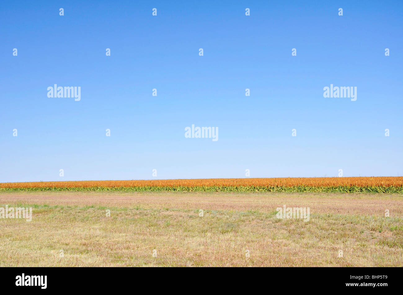 Texas high plains ranch hi-res stock photography and images - Alamy