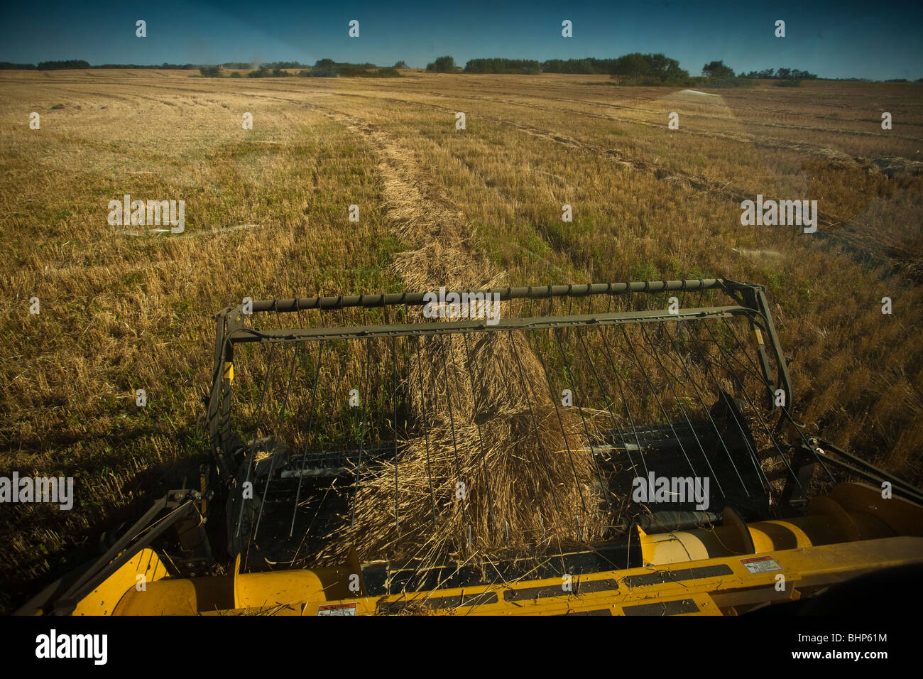 Swathed fields hi-res stock photography and images - Alamy