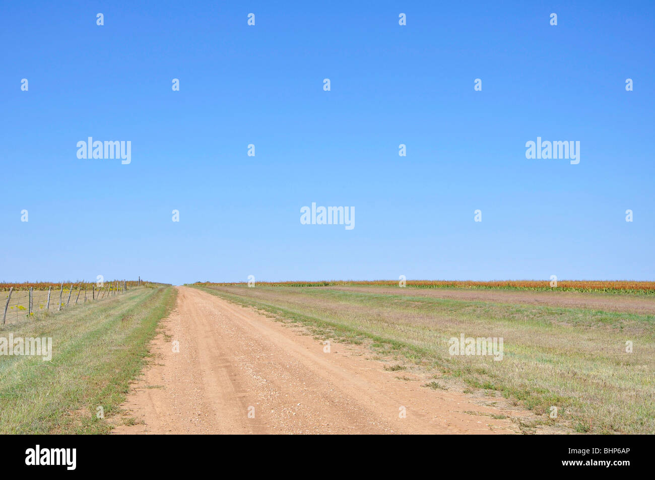 Texas high plains ranch hi-res stock photography and images - Alamy
