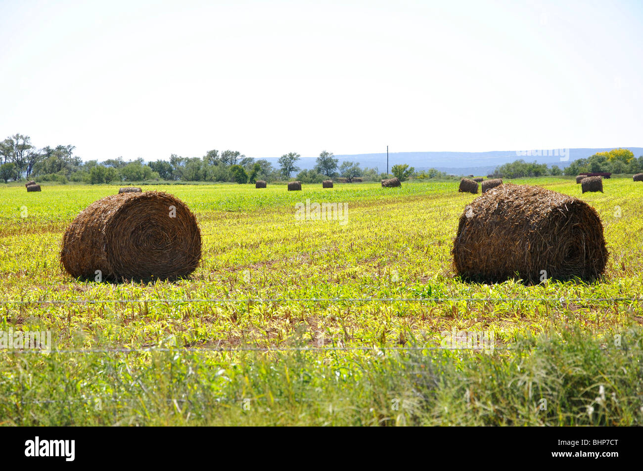 Ranch on Texas high plains Stock Photo - Alamy