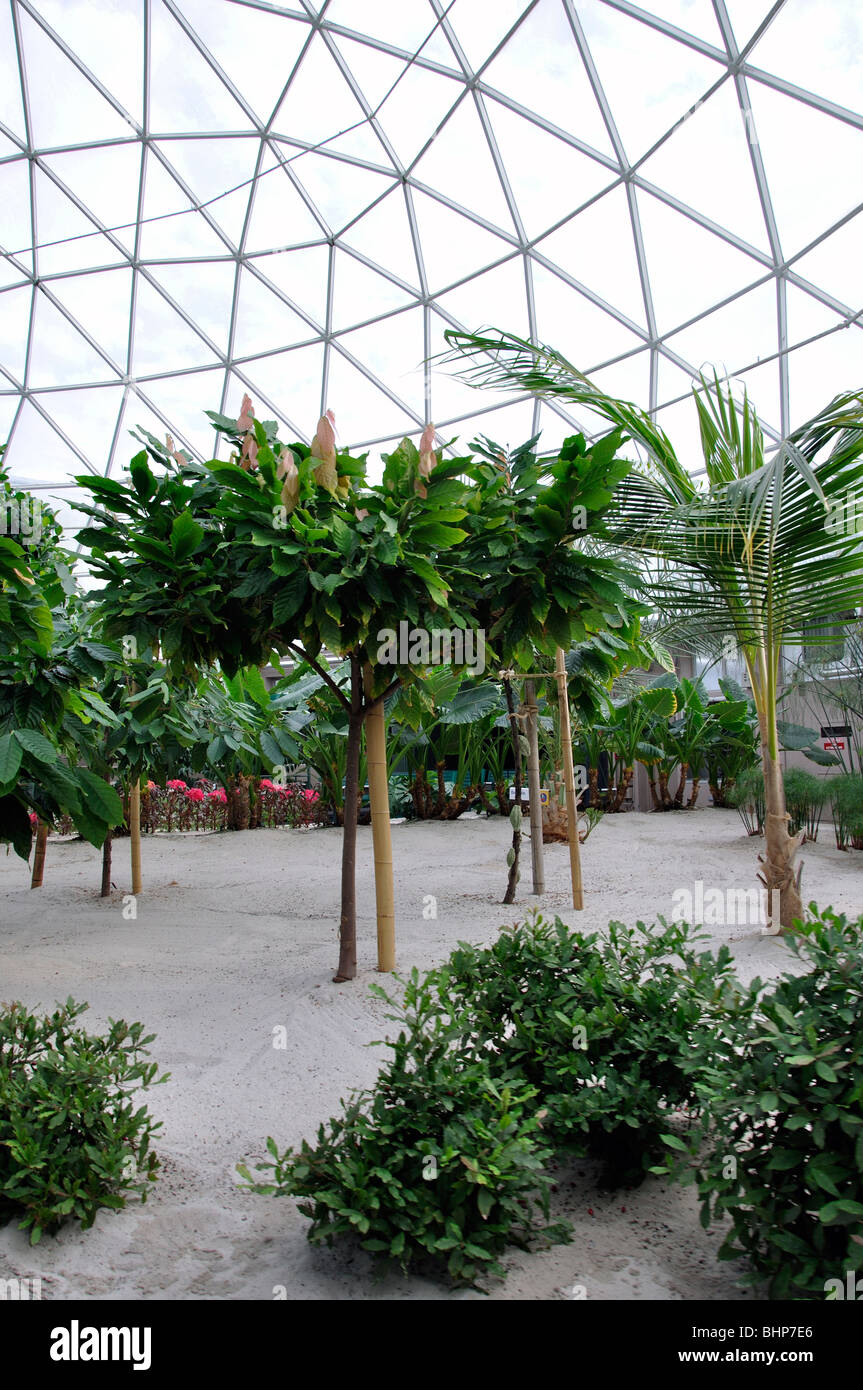 Hydroponic garden at Epcot, Disneyworld,Orlando, Florida, USA Stock ...