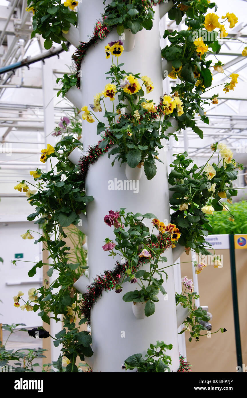 Hydroponic garden at Epcot, Disneyworld,Orlando, Florida, USA Stock ...