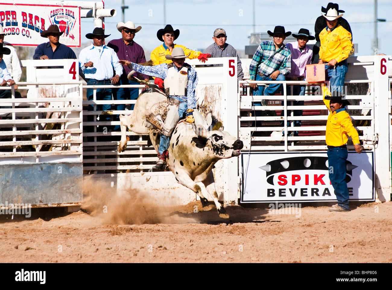 a cowboy competes in the bull riding event during the O'Odham Tash all ...