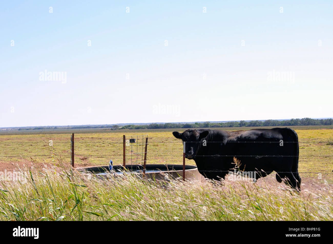 Ranch on Texas high plains Stock Photo - Alamy