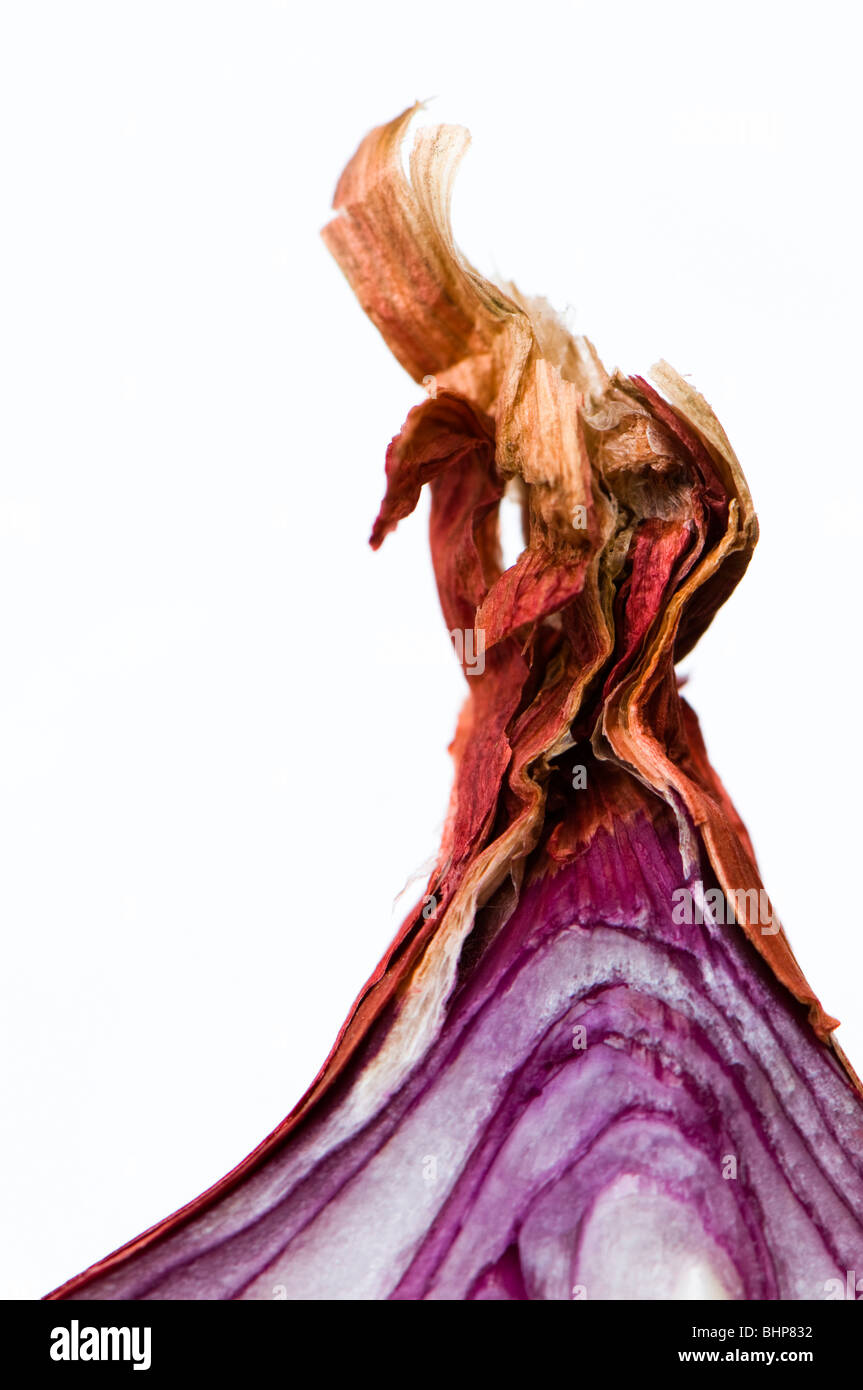 Inside of an onion hi-res stock photography and images - Alamy