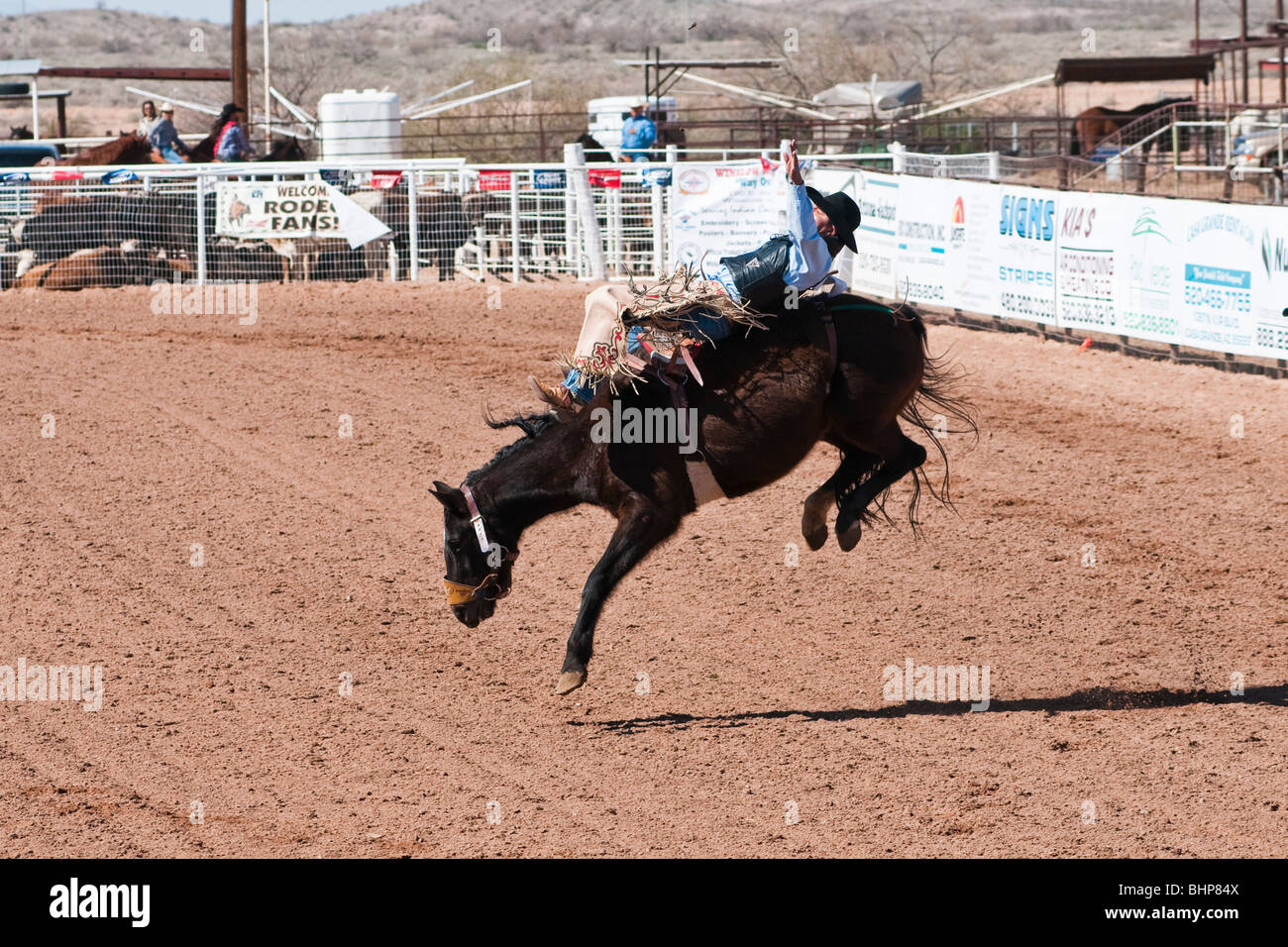 Saddle bronc riding hi-res stock photography and images - Alamy