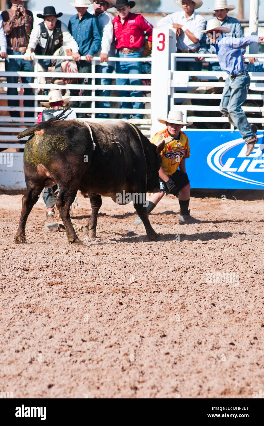 Bull riding competition hi-res stock photography and images - Alamy