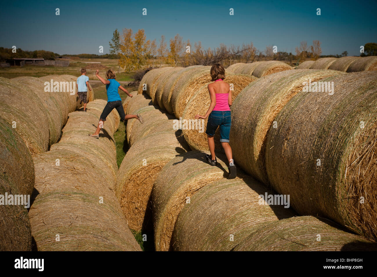 3 Farm Kids On Large Straw Bales, Redvers, Saskatchewan, Canada Stock ...