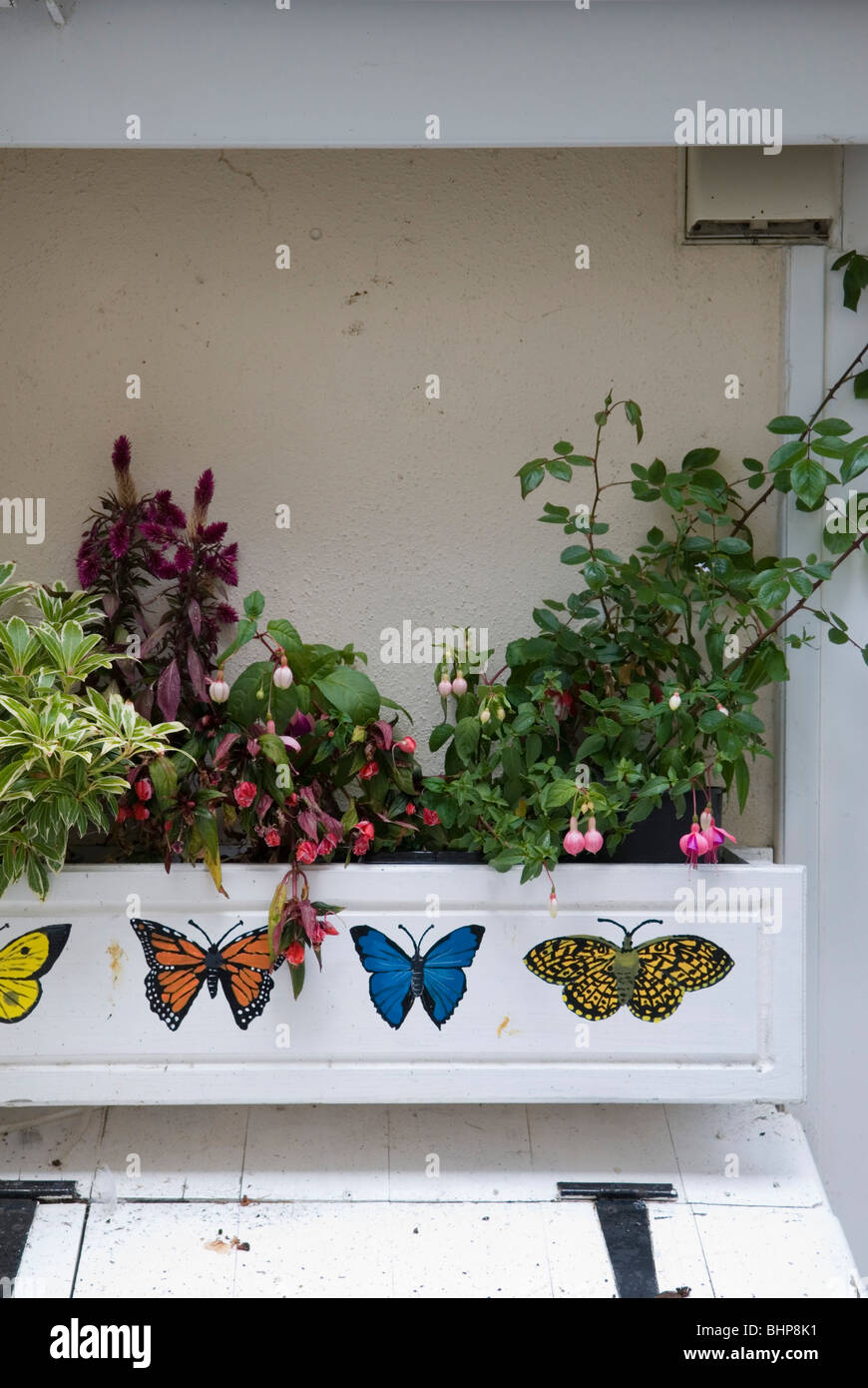 detail of butterfly paintings on a flower pot Stock Photo - Alamy