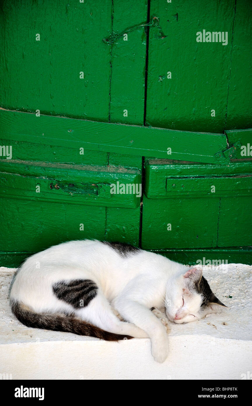 Sleeping cat in front of window, Kastro village, Sifnos island, Greece ...