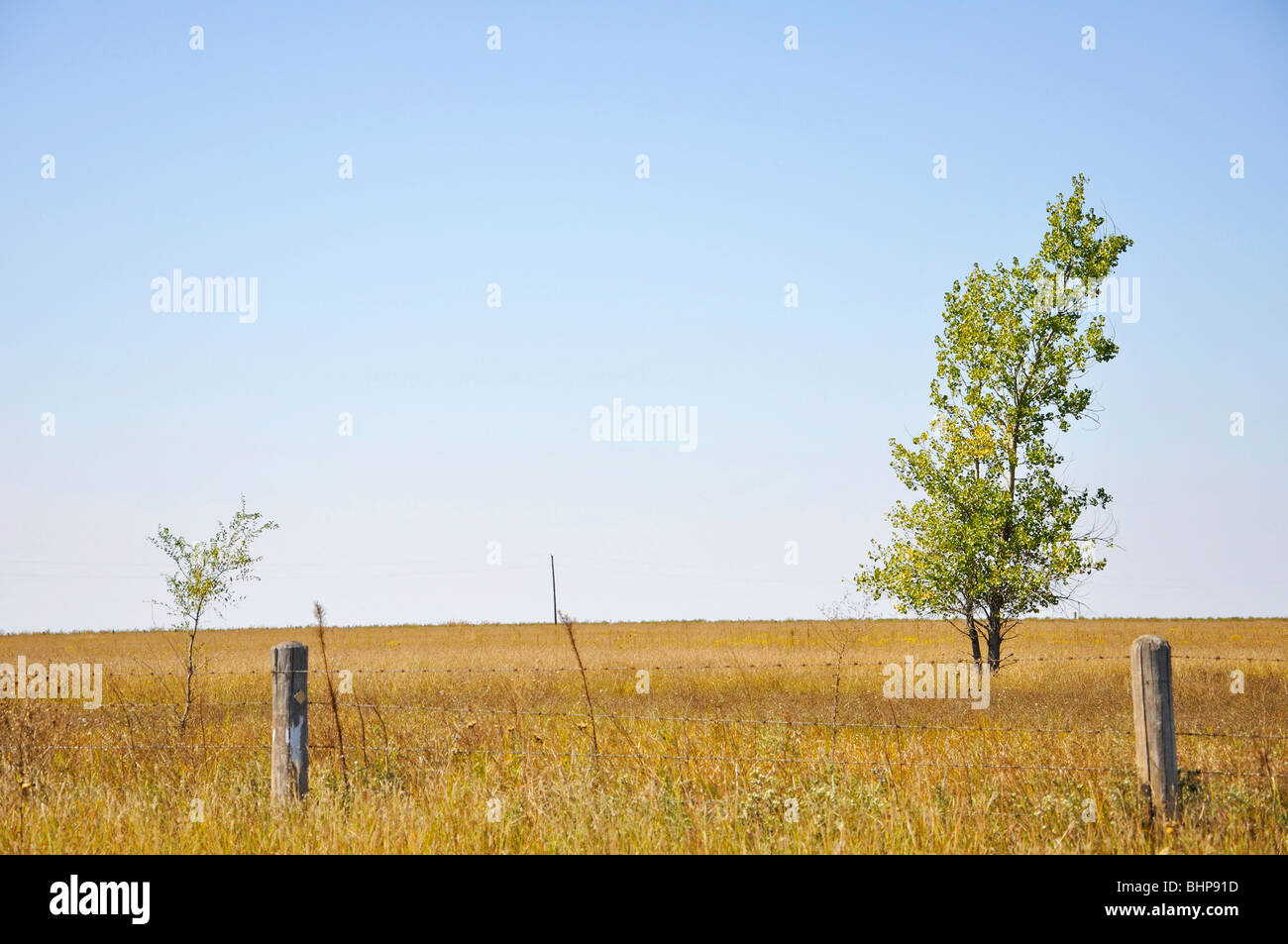 Ranch on Texas high plains Stock Photo - Alamy