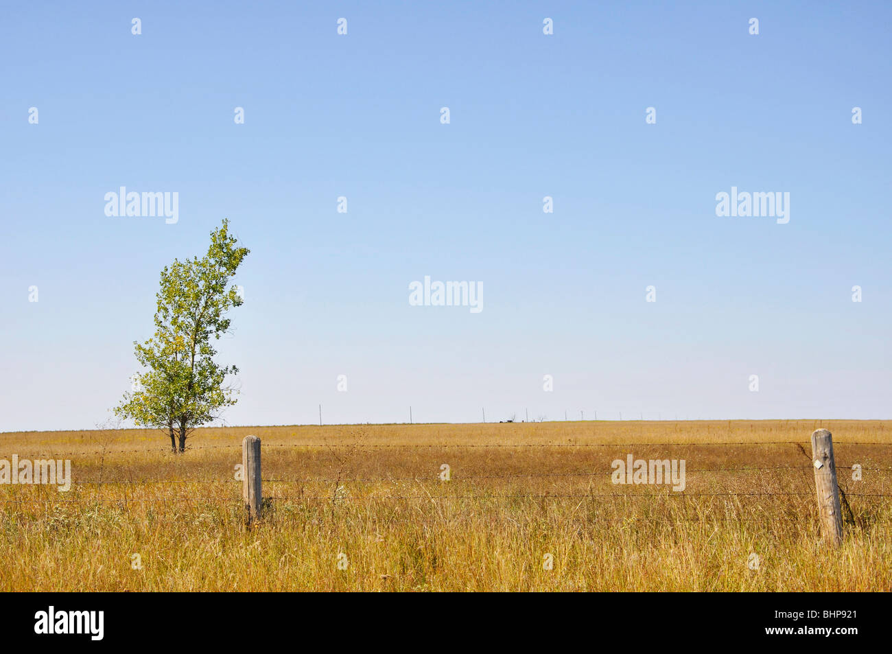 Texas high plains ranch hi-res stock photography and images - Alamy
