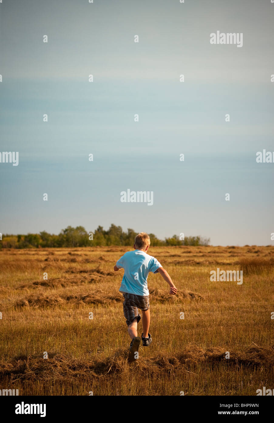 Twelve Year Old Boy Jumps The Swath In Flax Field; Redvers ...