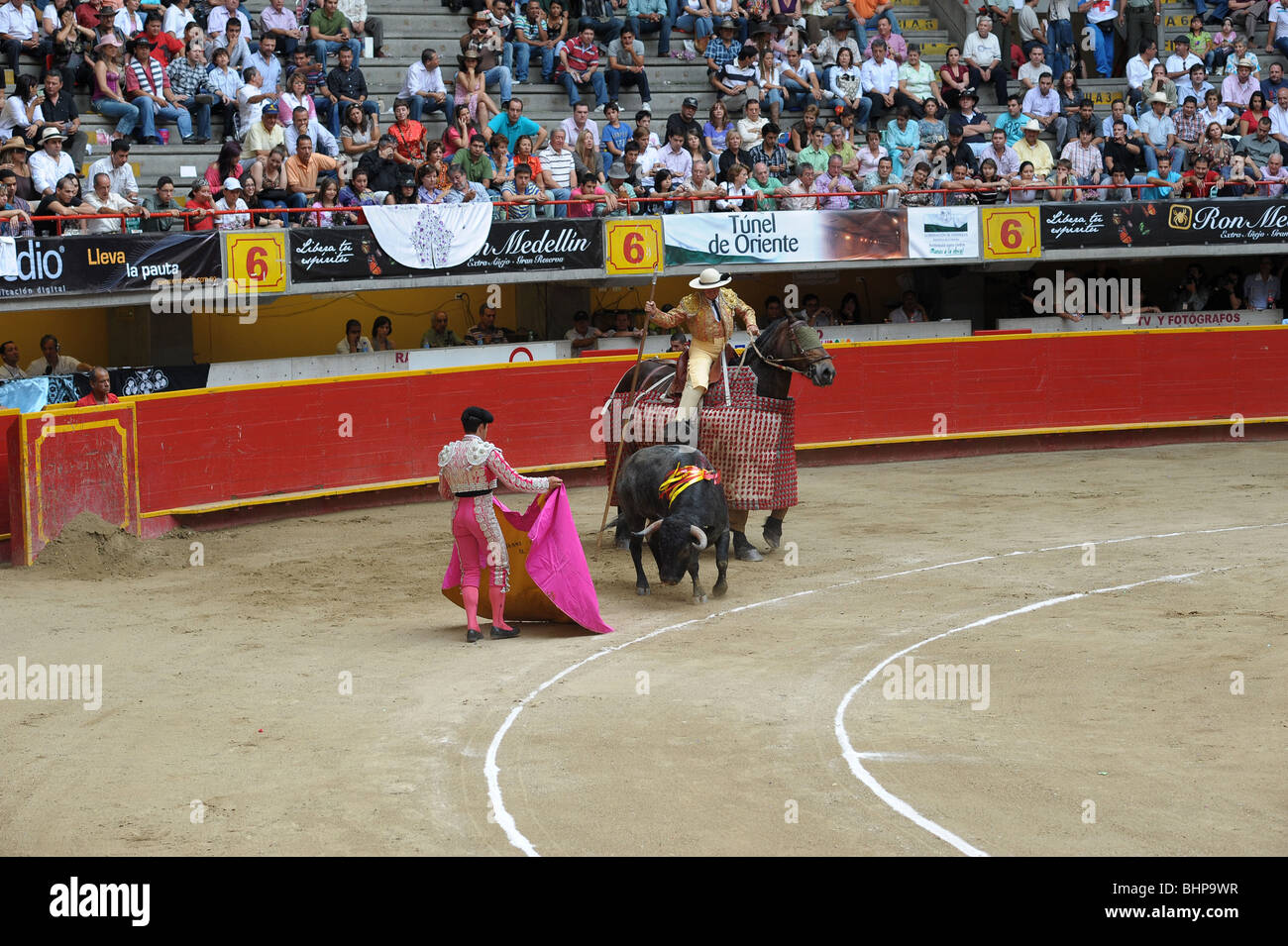 Bull fight dead hi-res stock photography and images - Alamy