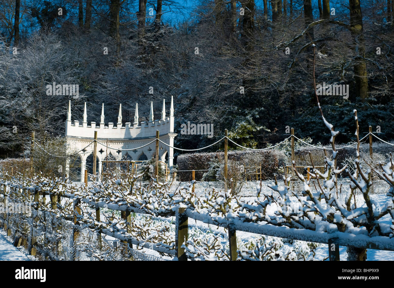 Espaliered fruit trees and the exedra at Painswick Rococo Garden in The ...