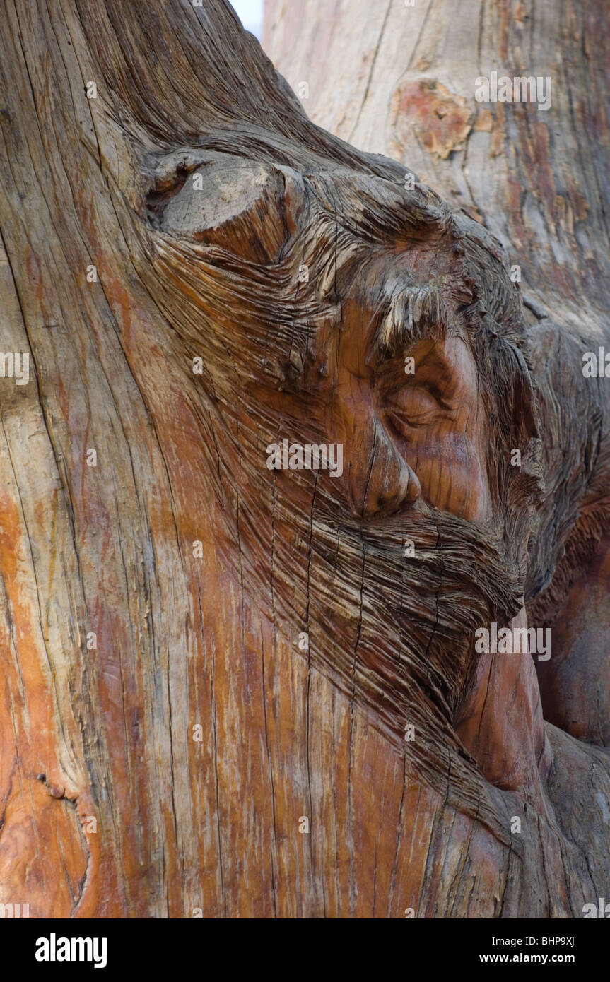 Jesus face middle eastern hi-res stock photography and images - Alamy