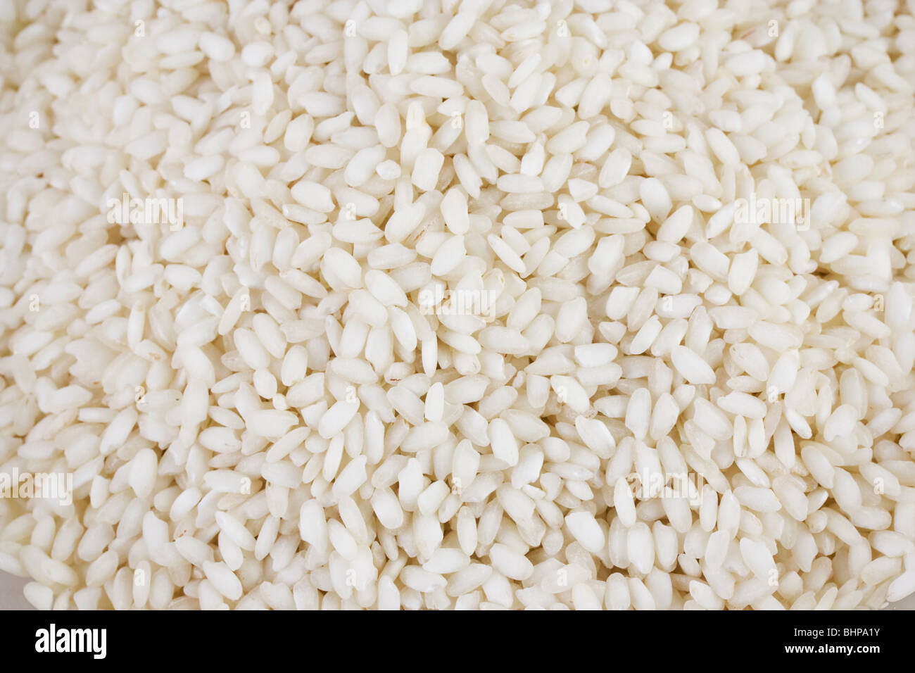 Rice isolated on white background Stock Photo - Alamy
