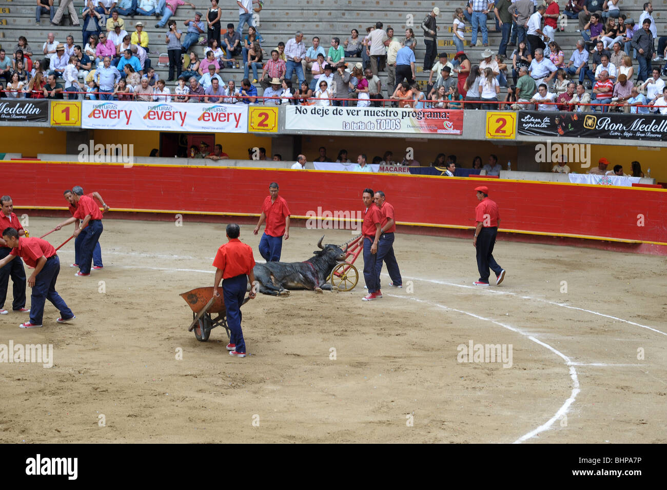 Bull fight dead hi-res stock photography and images - Alamy