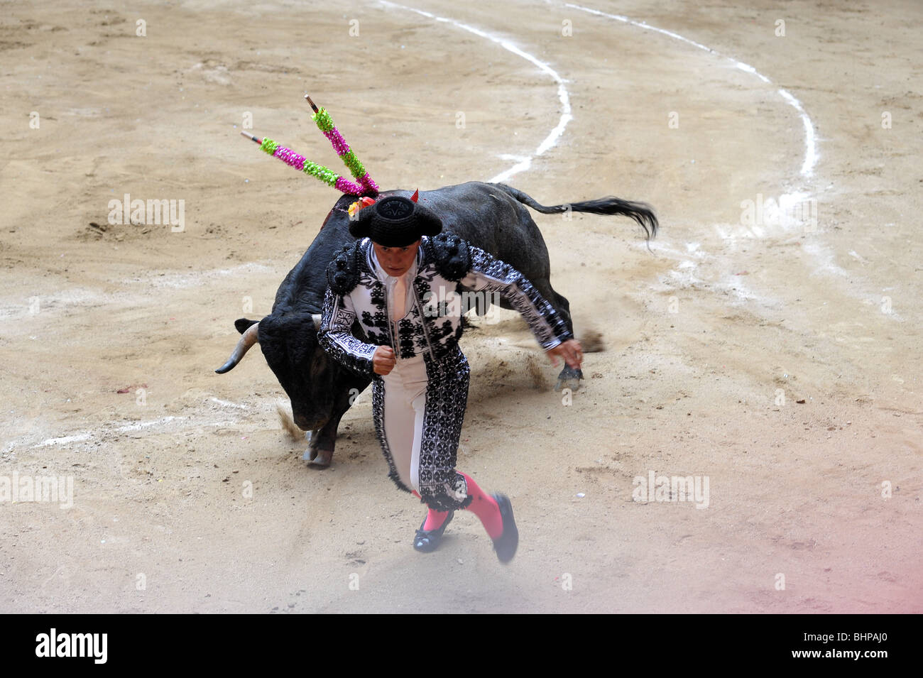Matador bull charging hi-res stock photography and images - Alamy