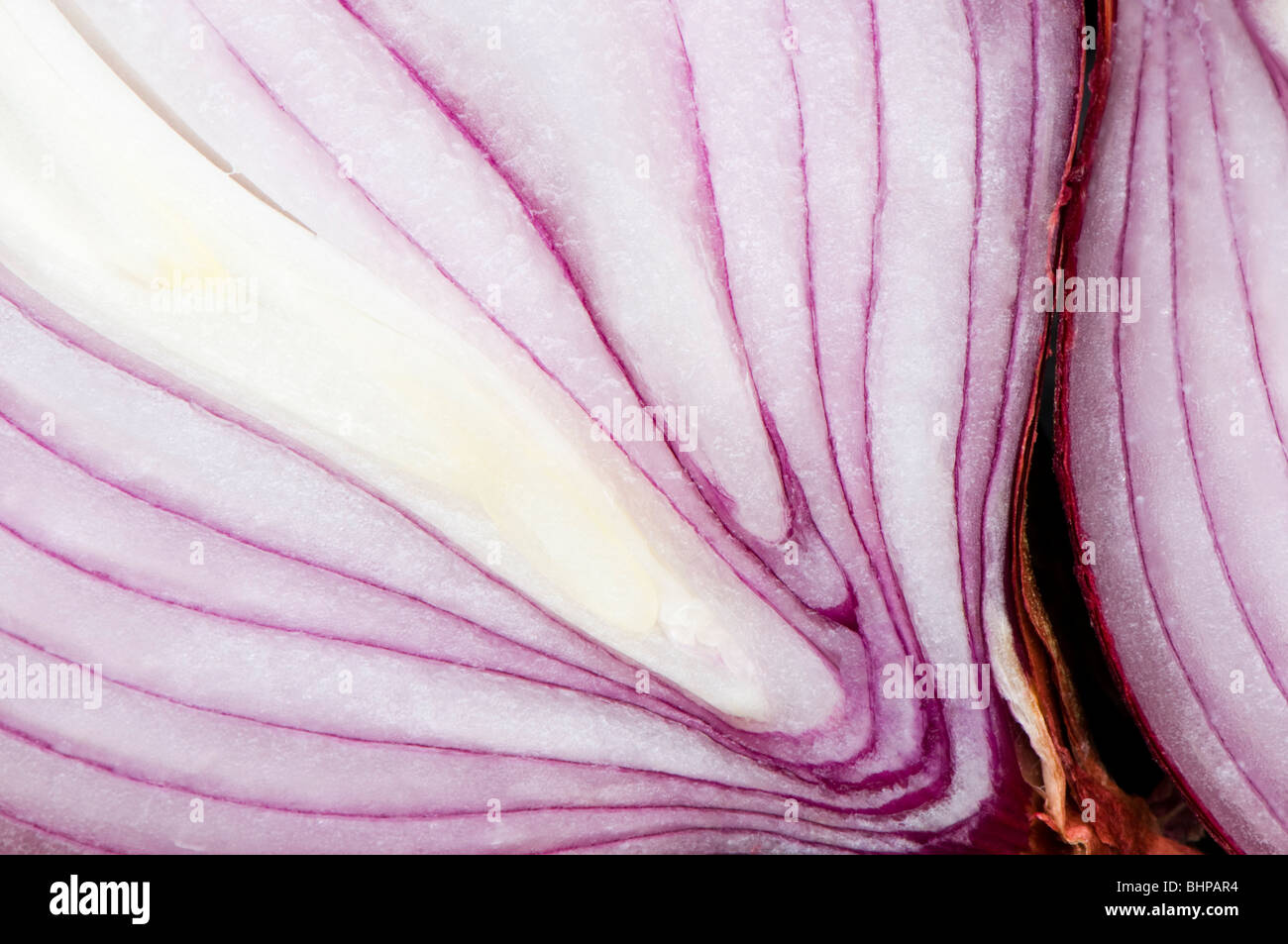 Close up of the inside of a red onion Stock Photo - Alamy