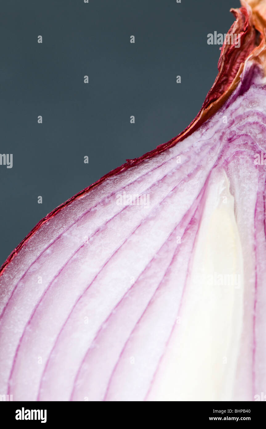 Inside of an onion hi-res stock photography and images - Alamy