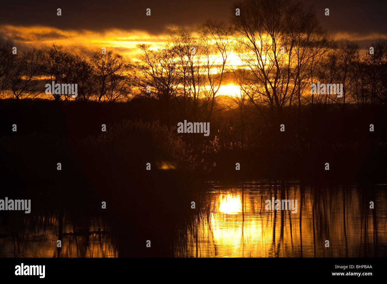 Ham Wall Rspb Reserve High Resolution Stock Photography and Images - Alamy