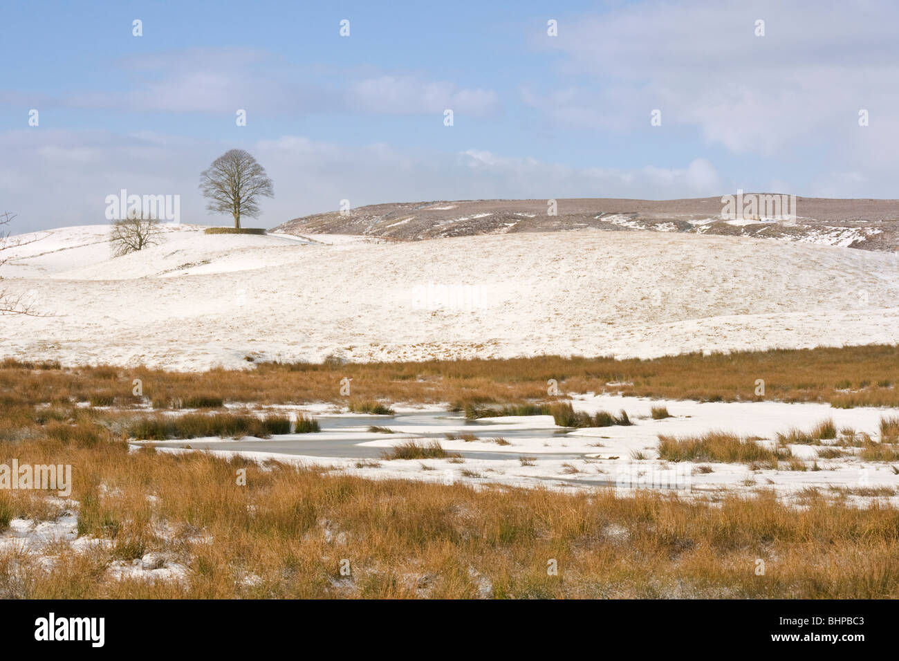 Moors moorland hi-res stock photography and images - Alamy