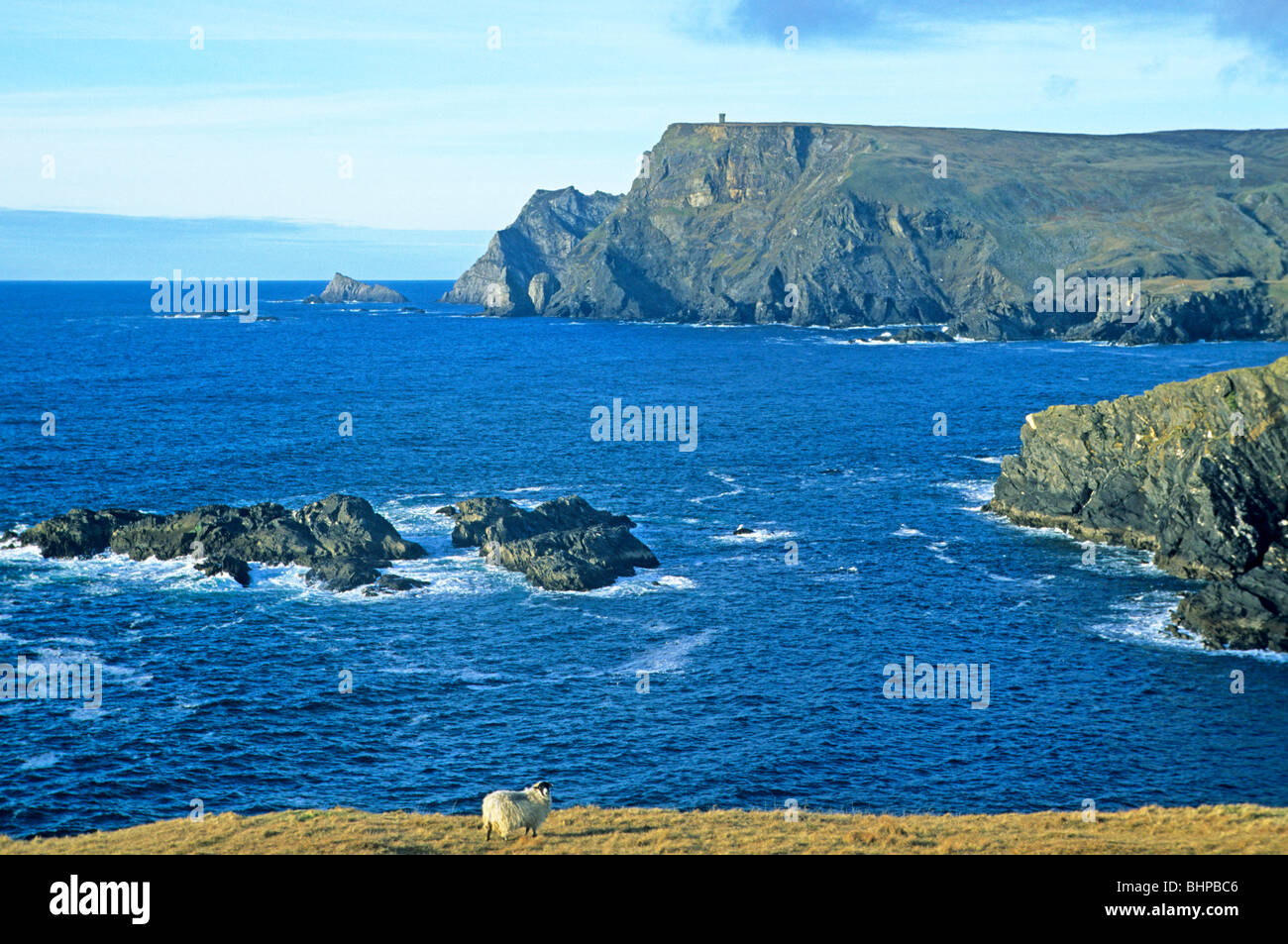County donegal ireland sheep near hi-res stock photography and images ...