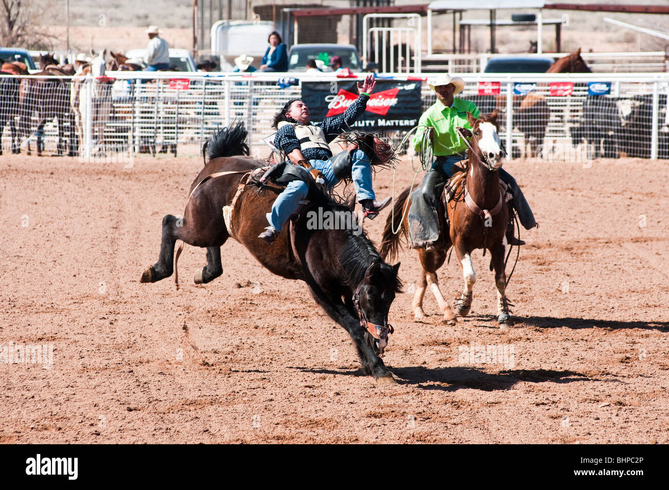 a cowboy competes in the saddle bronc riding event during the O'Odham ...