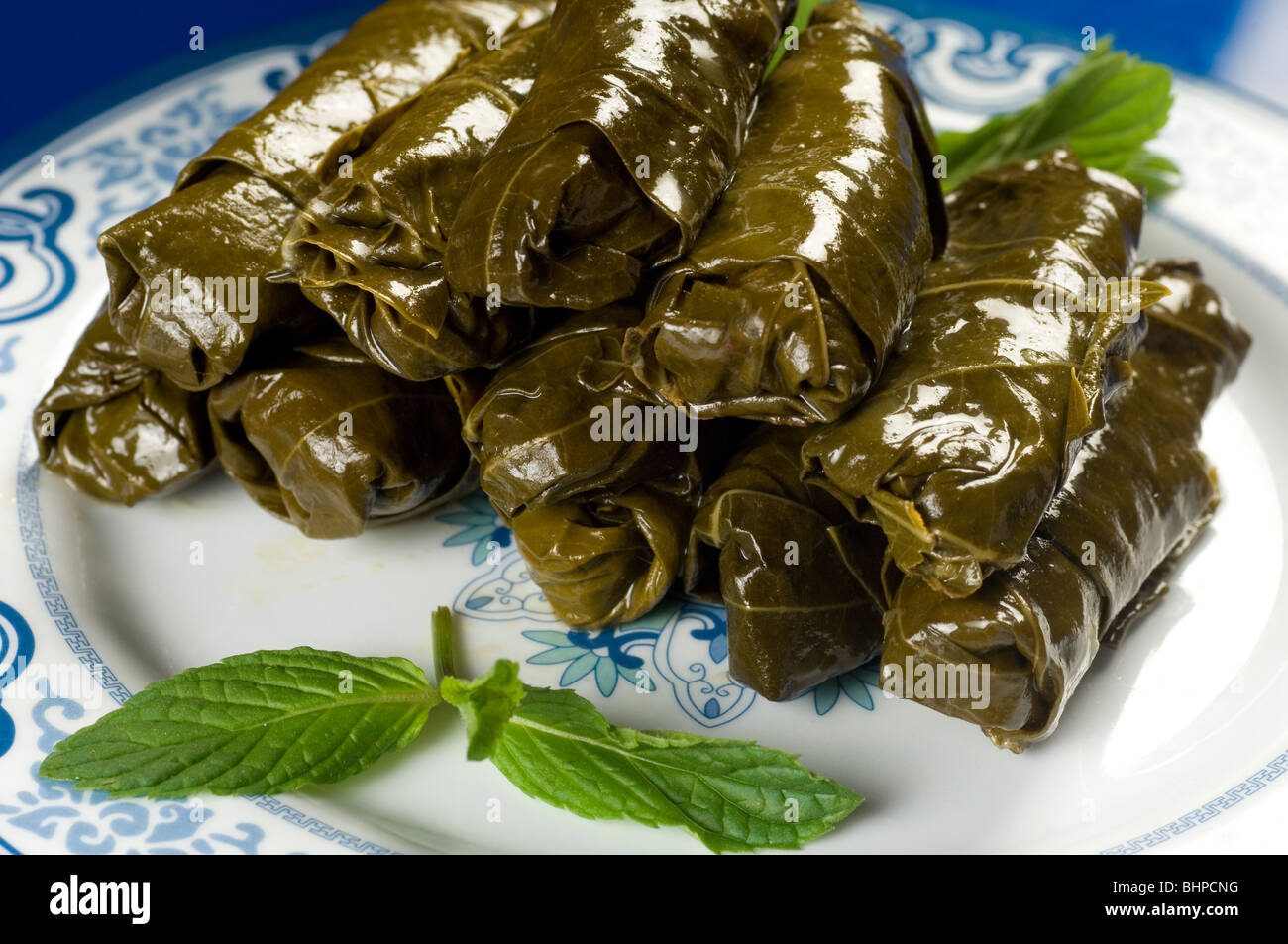 Stuffed vine leaves dolmades arabic hi-res stock photography and images ...