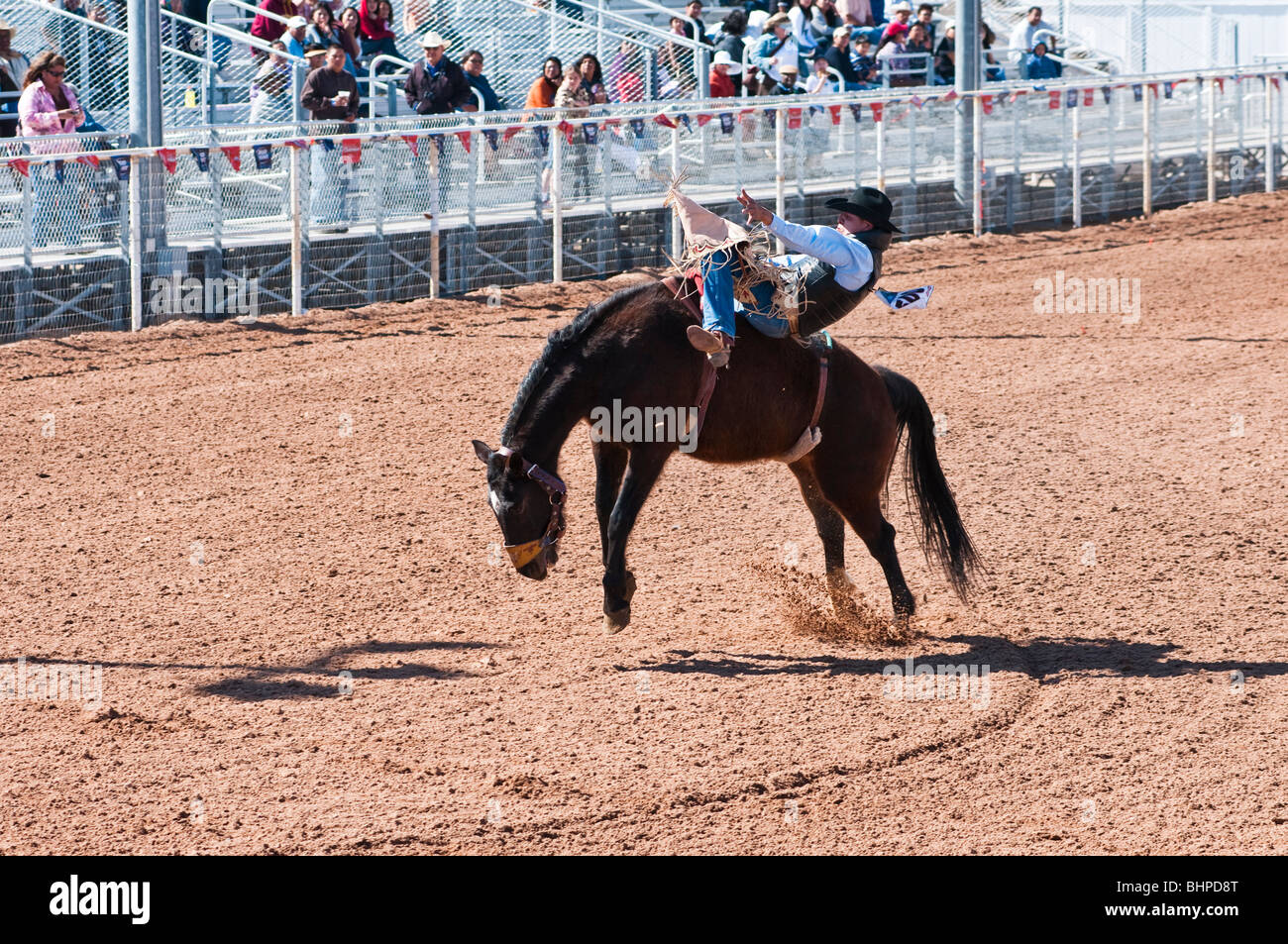 a cowboy competes in the saddle bronc riding event during the O'Odham ...