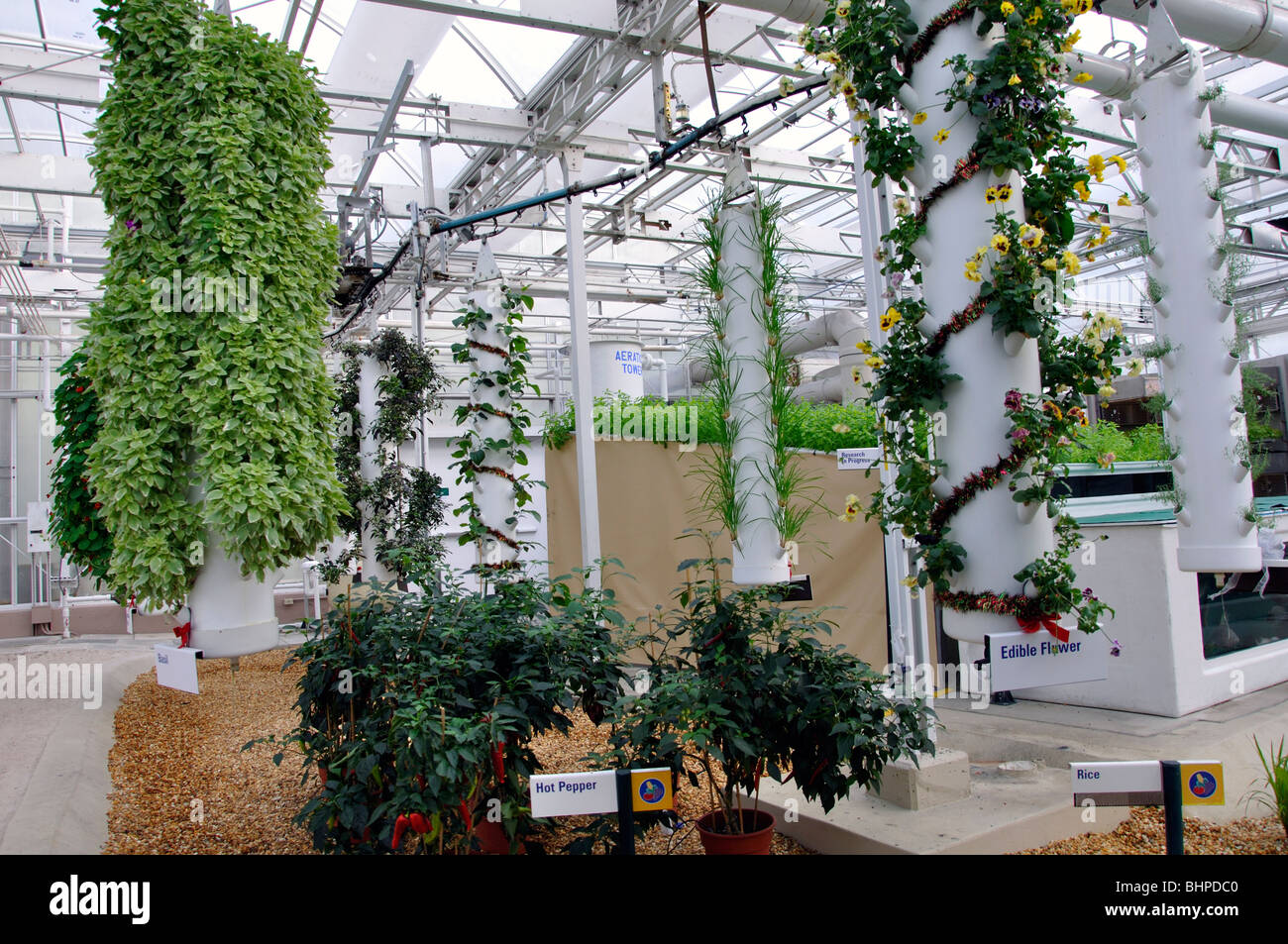 Hydroponic garden hydroponics biotechnology epcot hi-res stock ...