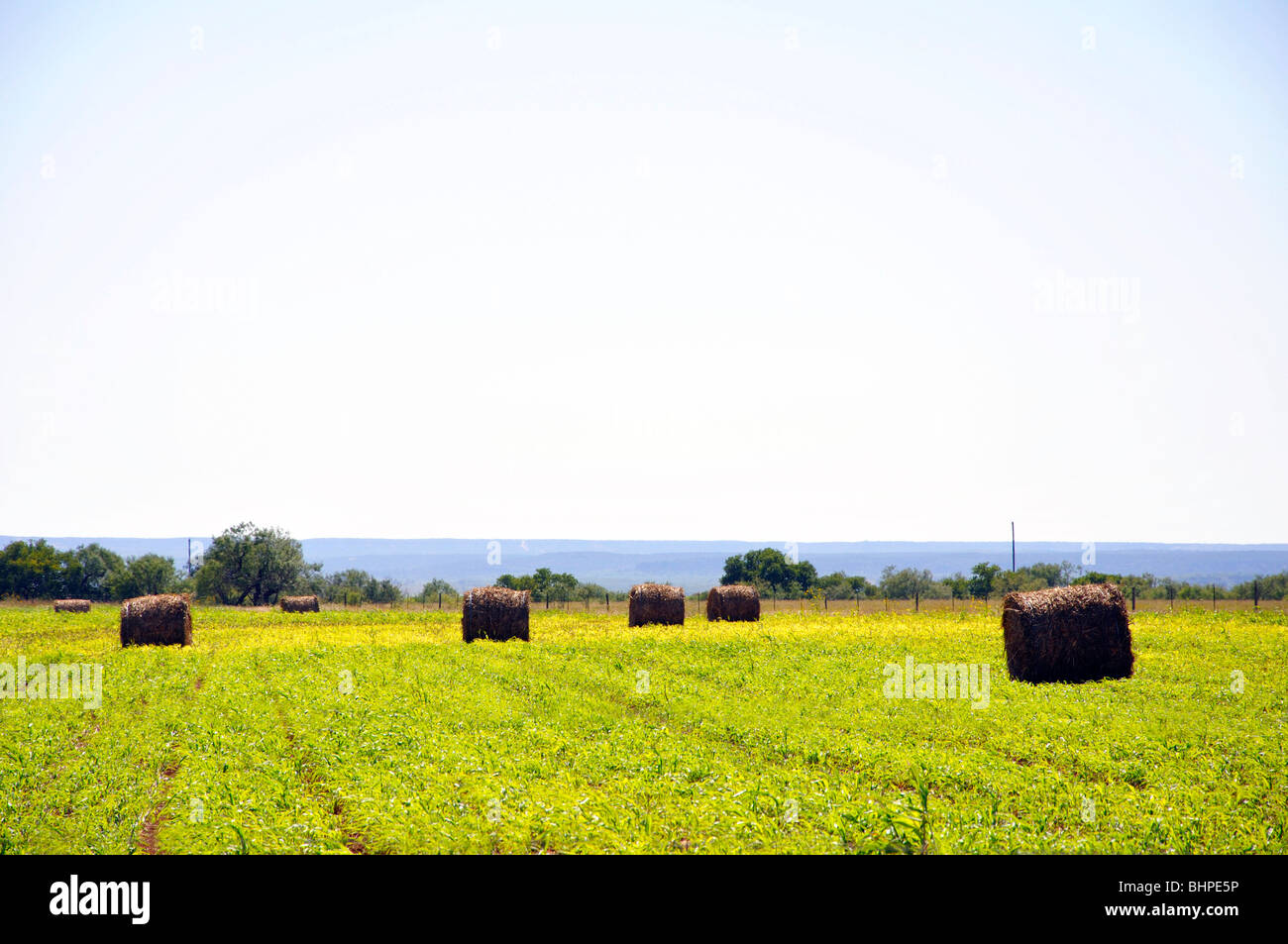 Texas high plains ranch hi-res stock photography and images - Alamy