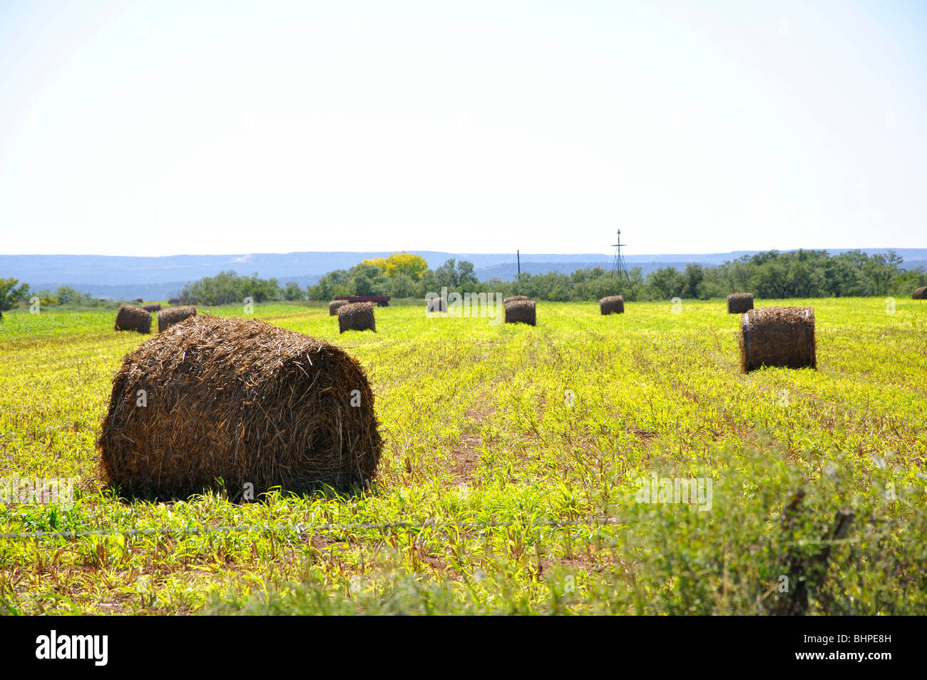 Texas high plains ranch hi-res stock photography and images - Alamy