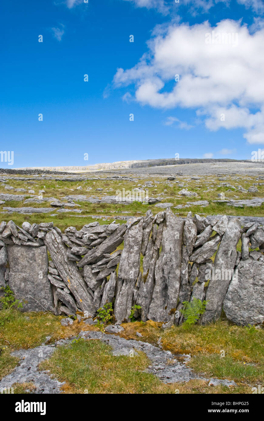 The Green Road above Fanore Stock Photo - Alamy