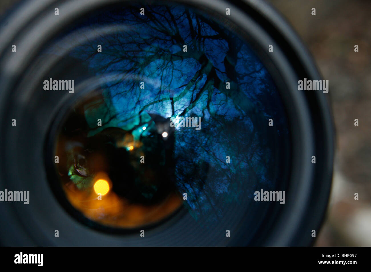 Nature forest hi-res stock photography and images - Alamy