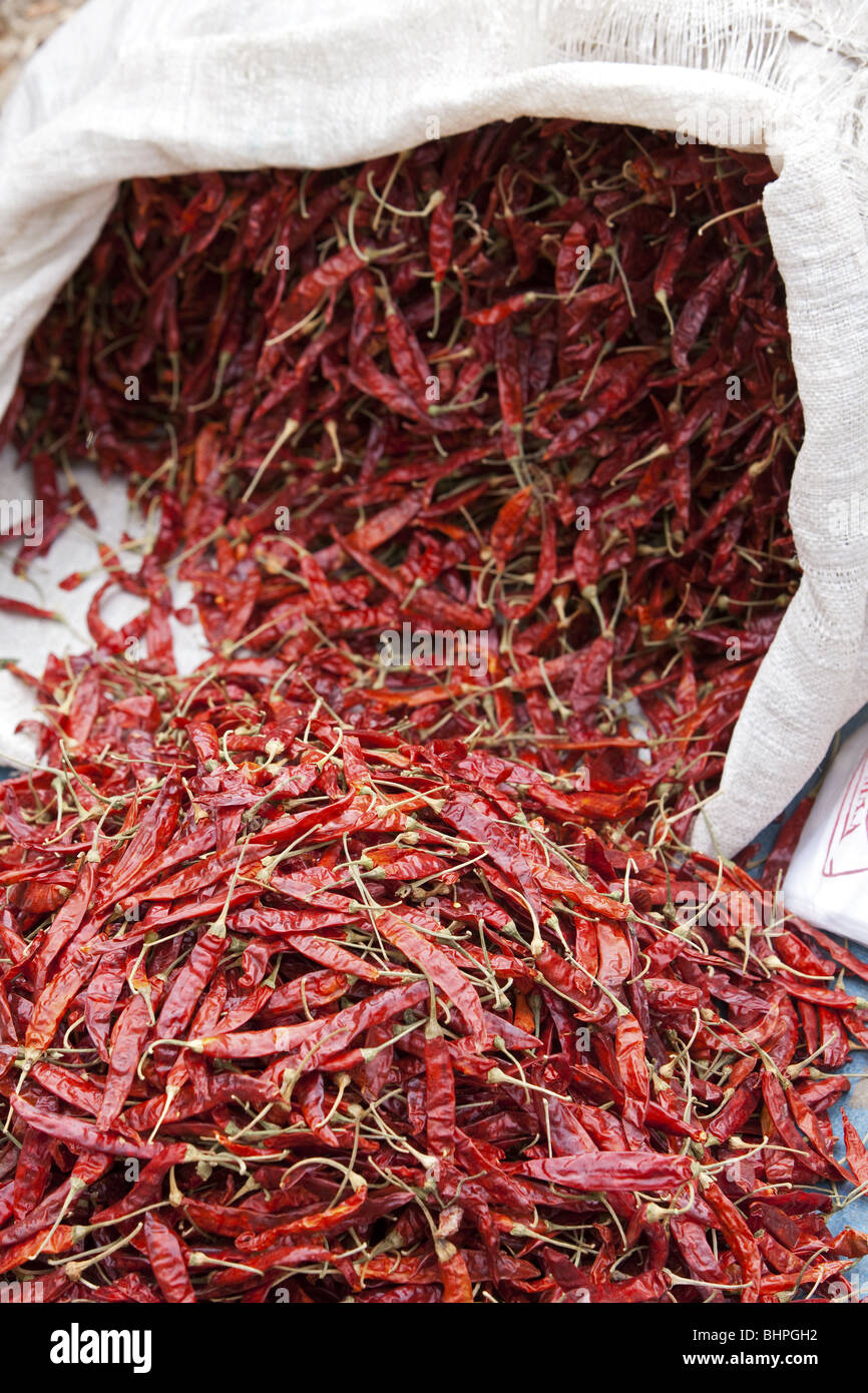 Dried chilli's in a Indian market puttaparthi Stock Photo - Alamy