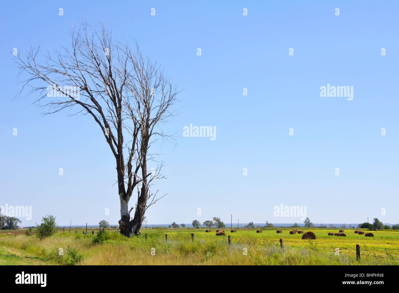 Ranch on Texas high plains Stock Photo - Alamy