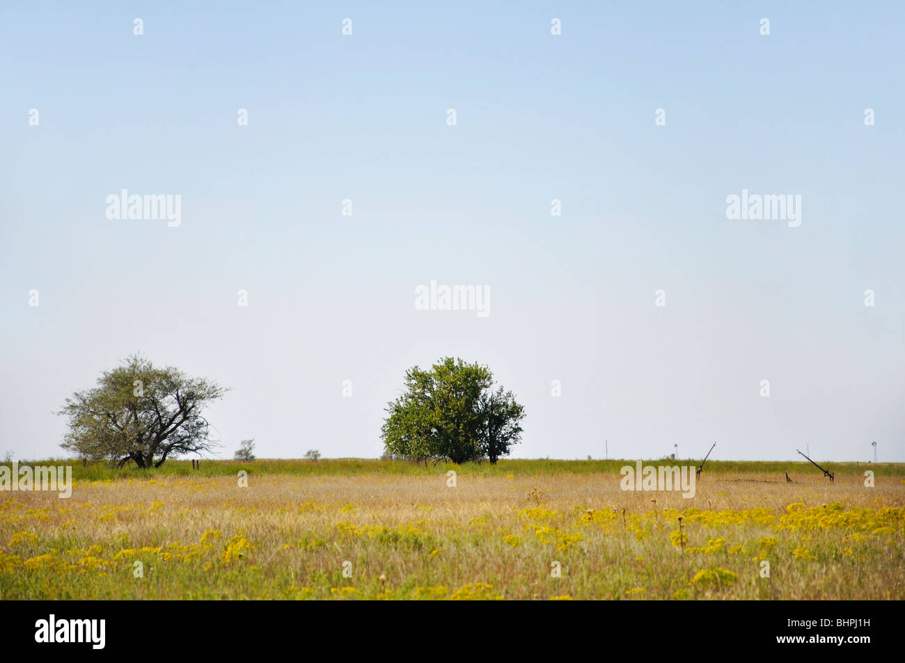 Ranch on Texas high plains Stock Photo - Alamy