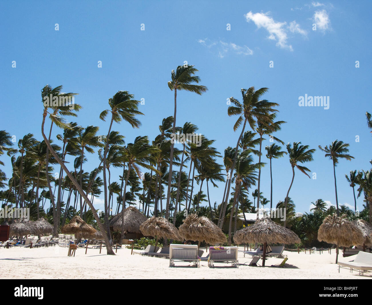 Waving palm hi-res stock photography and images - Alamy