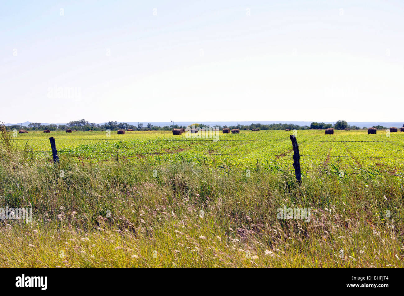 Texas high plains ranch hi-res stock photography and images - Alamy