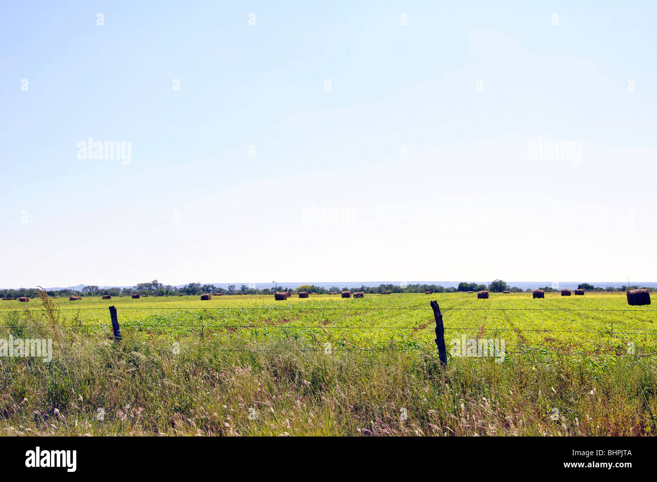Texas high plains ranch hi-res stock photography and images - Alamy