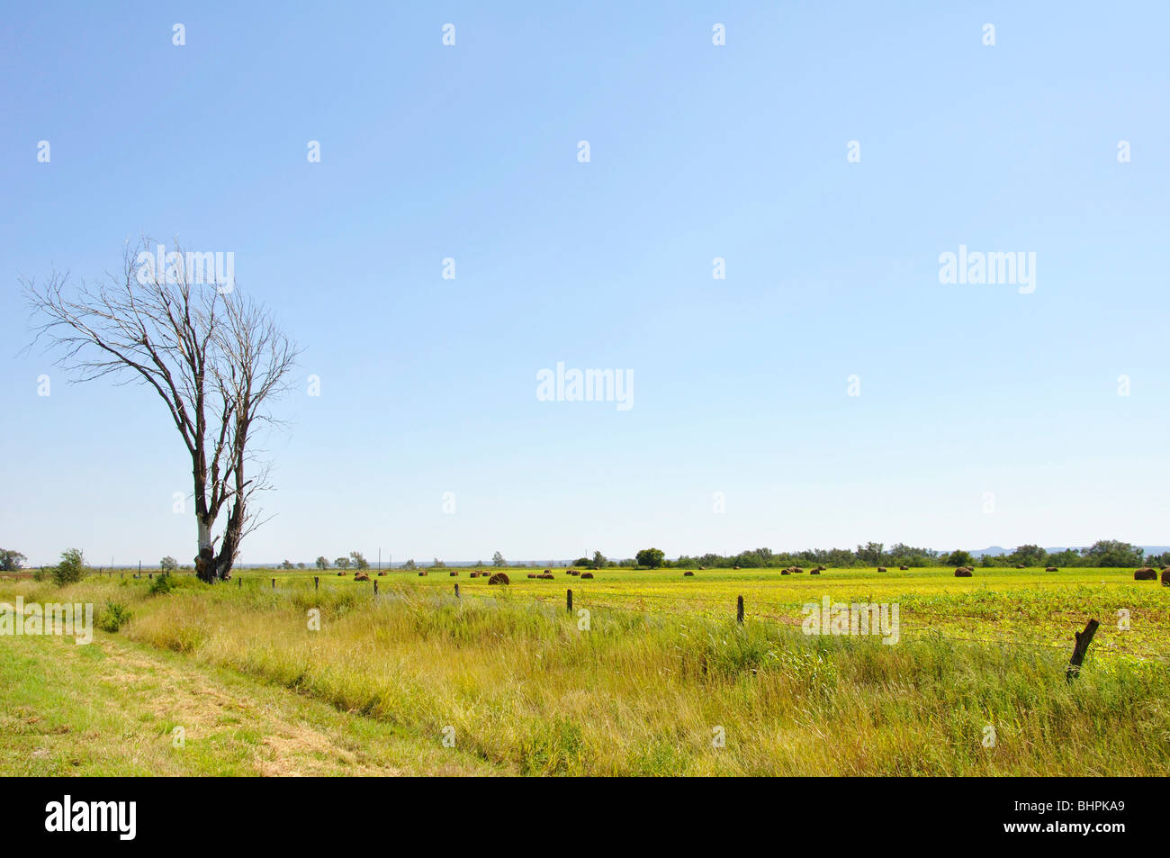 Ranch on Texas high plains Stock Photo - Alamy