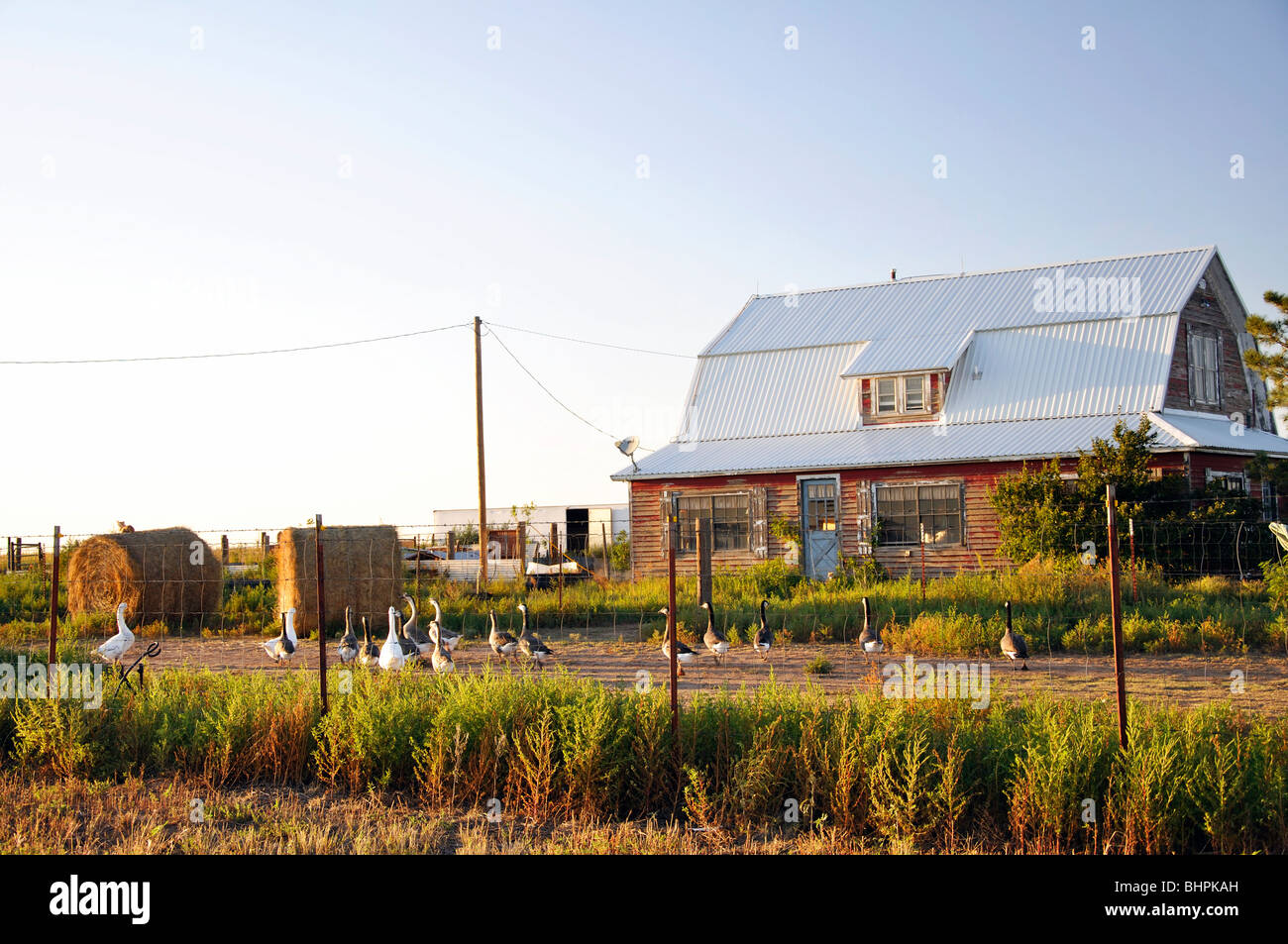 House in rural Texas, USA Stock Photo - Alamy