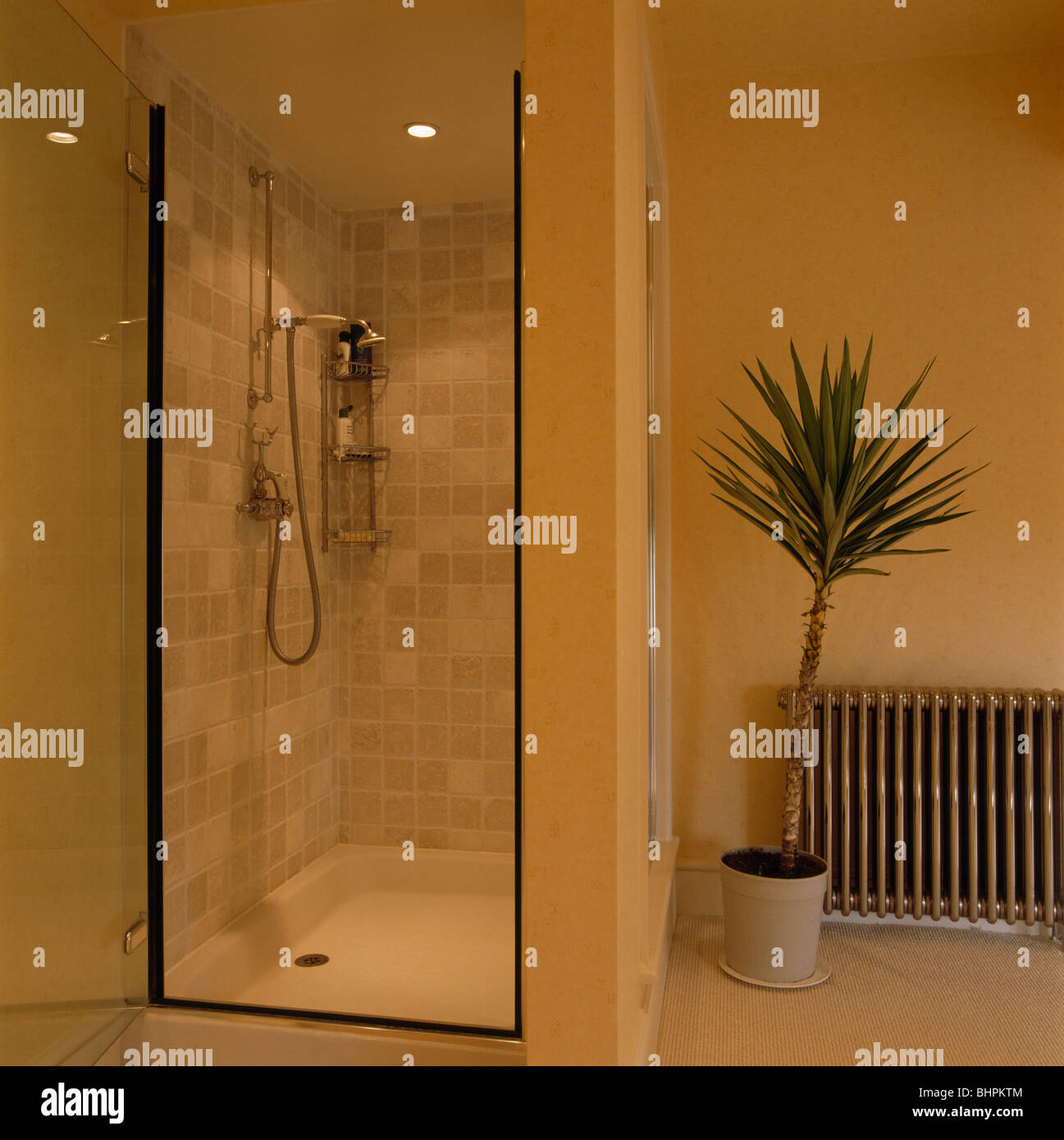 Potted palm beside tiled shower cabinet with glass door in townhouse ...