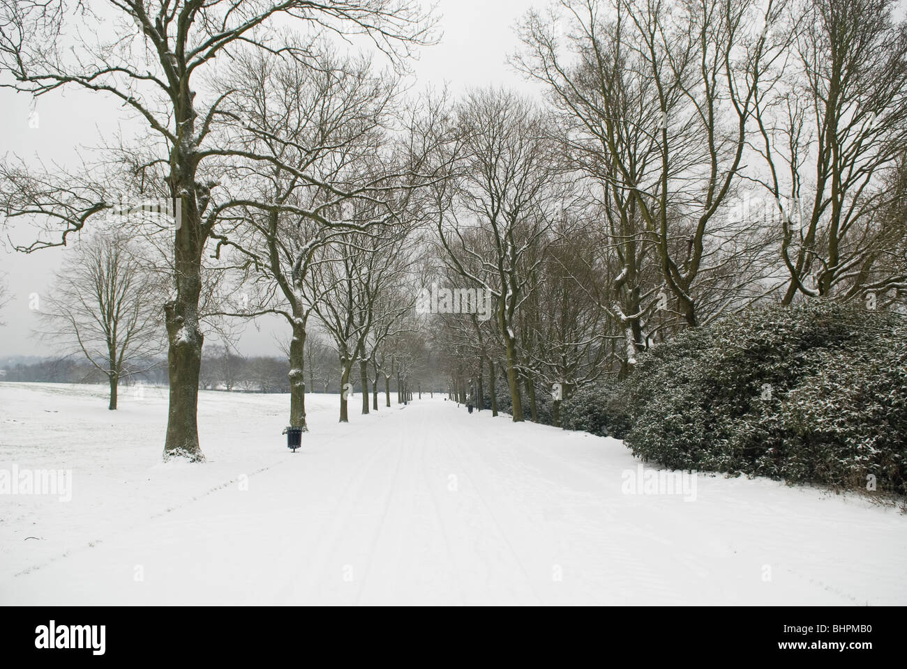 Trees in Heaton park covered with snow Manchester UK Stock Photo - Alamy