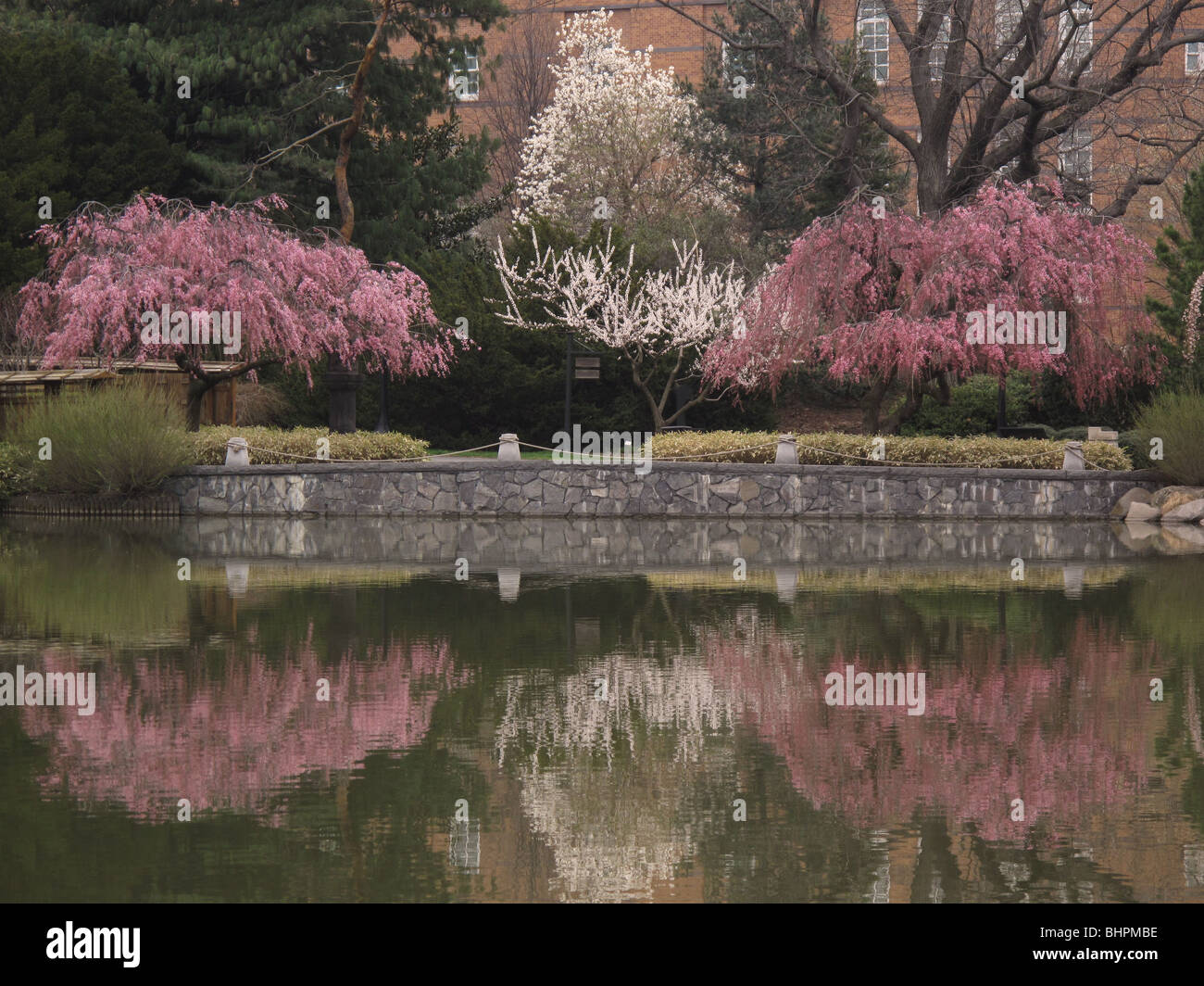 Japanese Hill and Pond Garden Brooklyn NY Stock Photo - Alamy