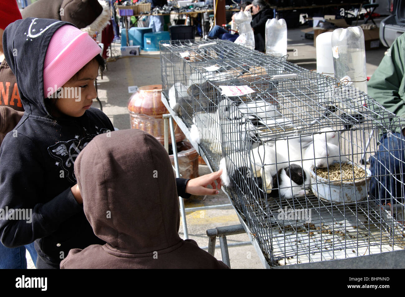 Rabbit cage market hi-res stock photography and images - Alamy