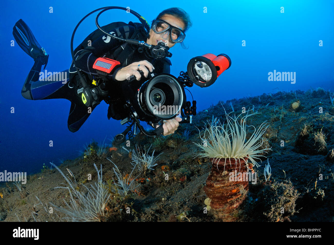 scuba diver takes pictures under water, underwater-photographer, Bali ...